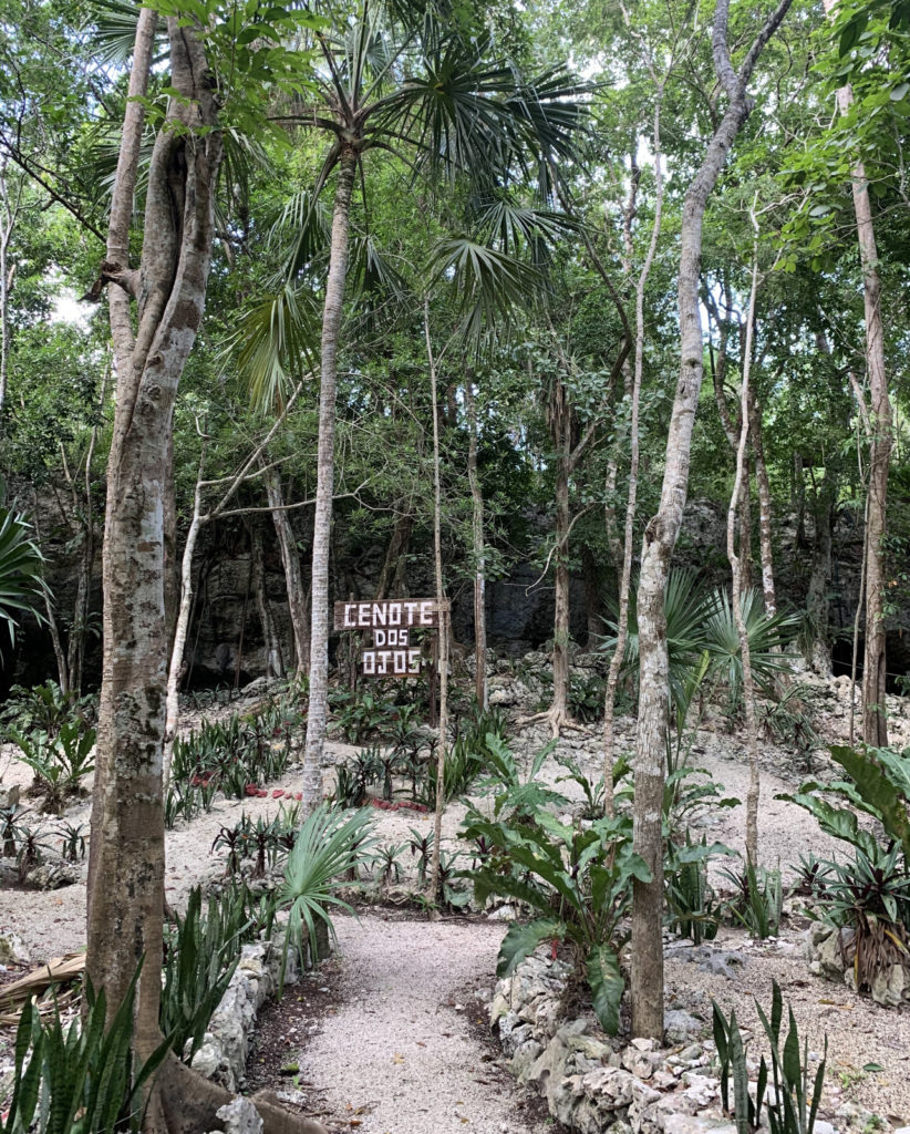 Cenote Dos Ojos | Tulum, Mexico | followthisadventure.com